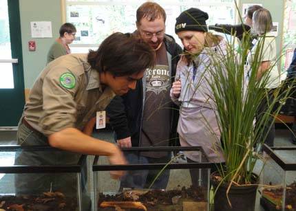 Explore Newt Day on Nov. 2 at Tualatin Hills Nature Park | THPRD