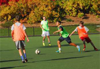 THPRD-BSD deal to create new sports fields in south Beaverton | THPRD